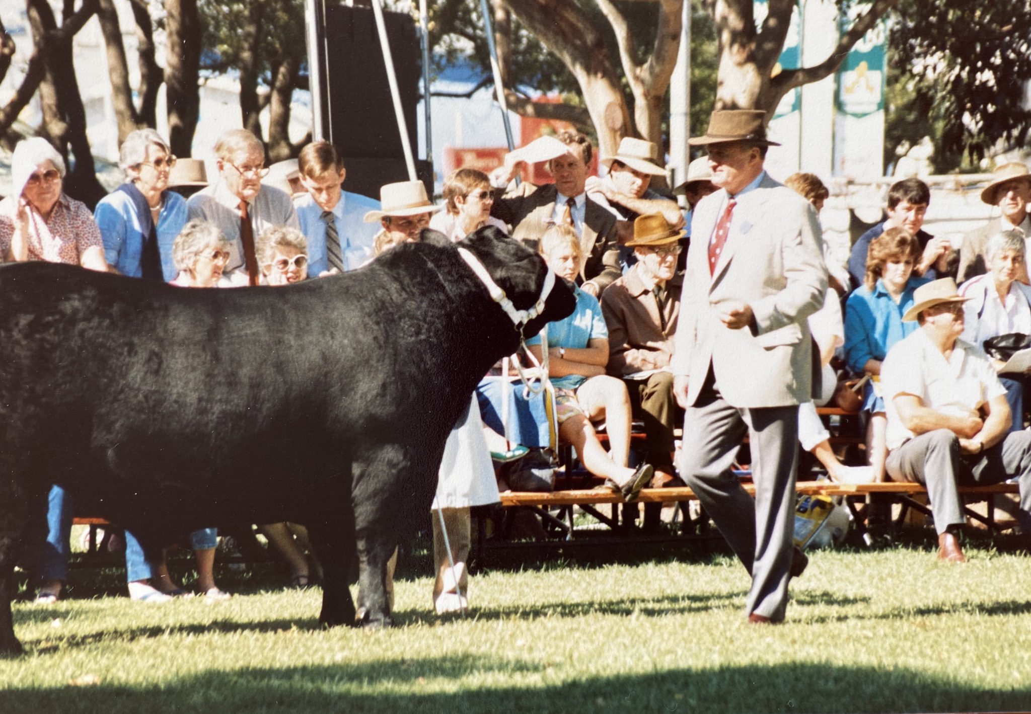 Bill Mayne Award - TEXAS ANGUS